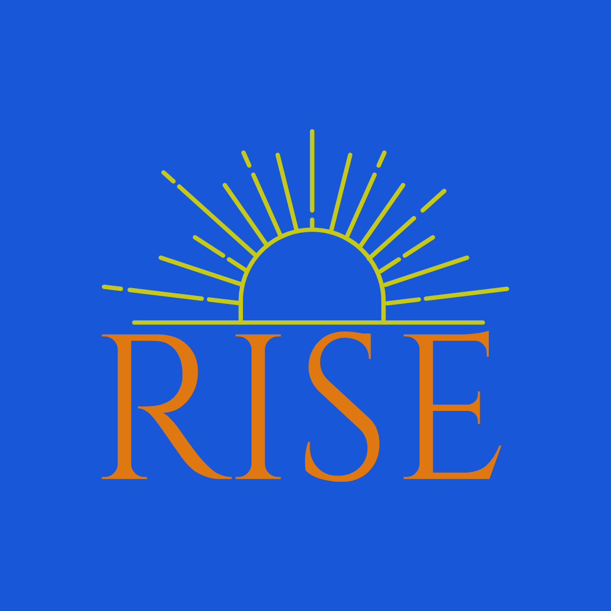 RISE INC Credentials • Accredible • Certificates, Badges and Blockchain