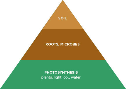 The Andersons Food | Organics: The Power of Plants