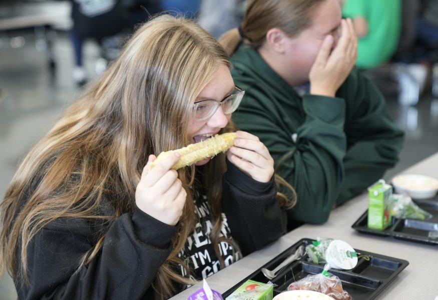 2024 Farm To School - Sweetcorn | DeKalb County Eastern Schools