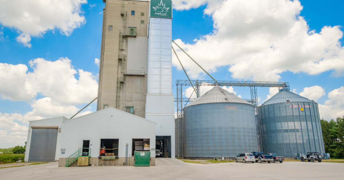 Maple Leaf Farms | Your Choice Source for Duck