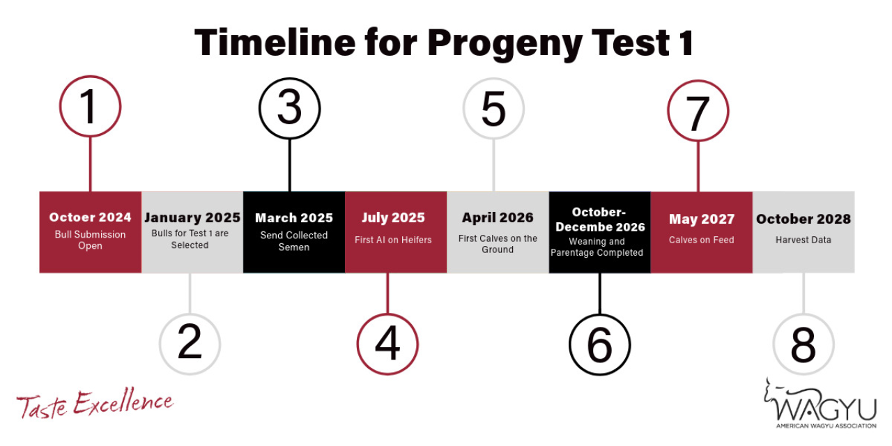AWA Progeny Test | American Wagyu Association