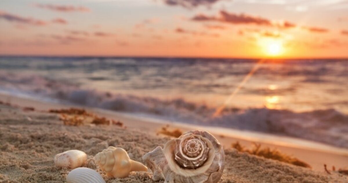 Shell Turns to Integrated Data Design as the Foundation of Its SAP S ...