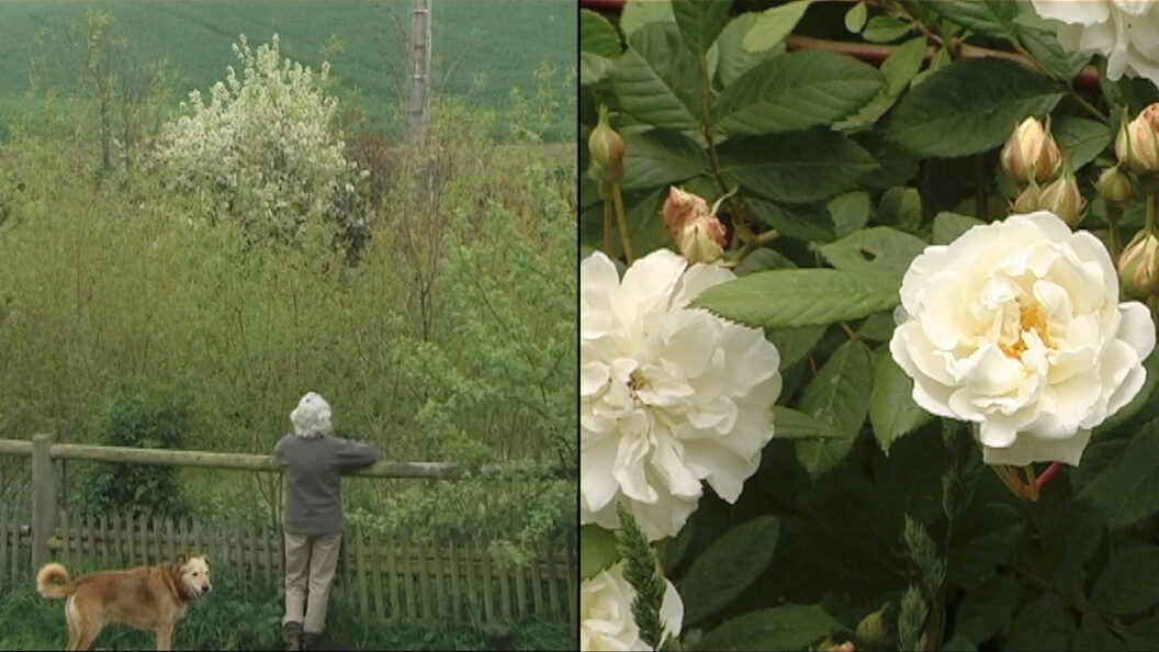 BOMB Magazine | Vincent Barré and Pierre Creton by Nicholas Elliott