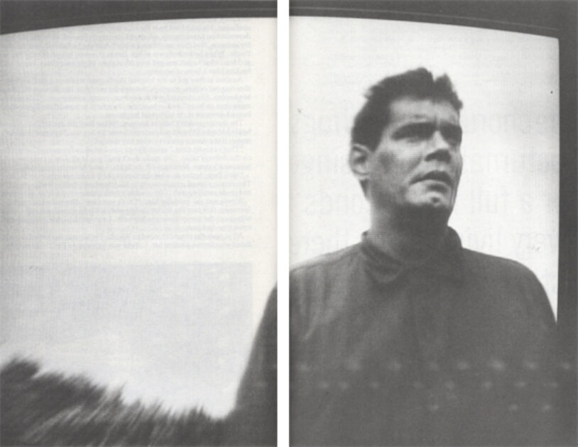 BOMB Magazine | The Dogs