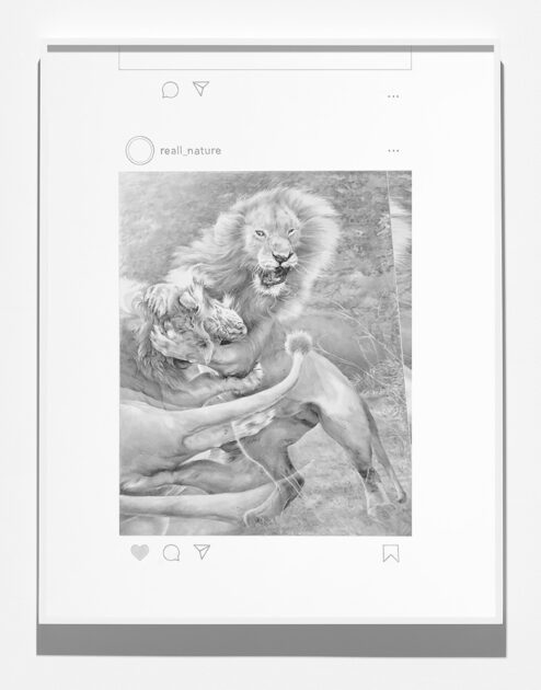 BOMB Magazine | Andrew Sendor by Will Fenstermaker