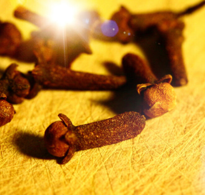 BOMB Magazine | An Artist's Guide to Herbs: Cloves