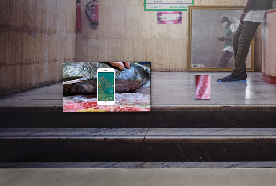 BOMB Magazine | Farah Al Qasimi by Elle Pérez