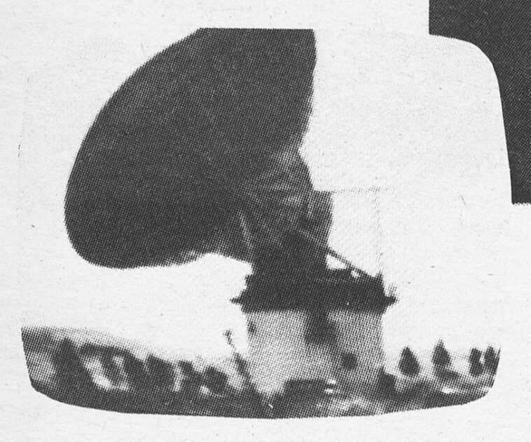 BOMB Magazine | New World Information Order: Manifesto of the…