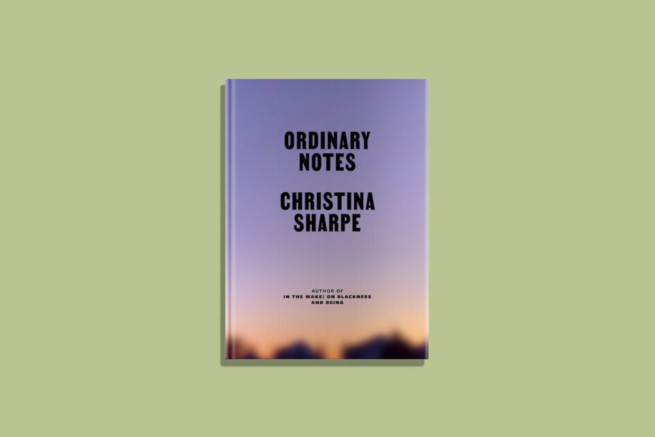 BOMB Magazine | Ordinary Notes