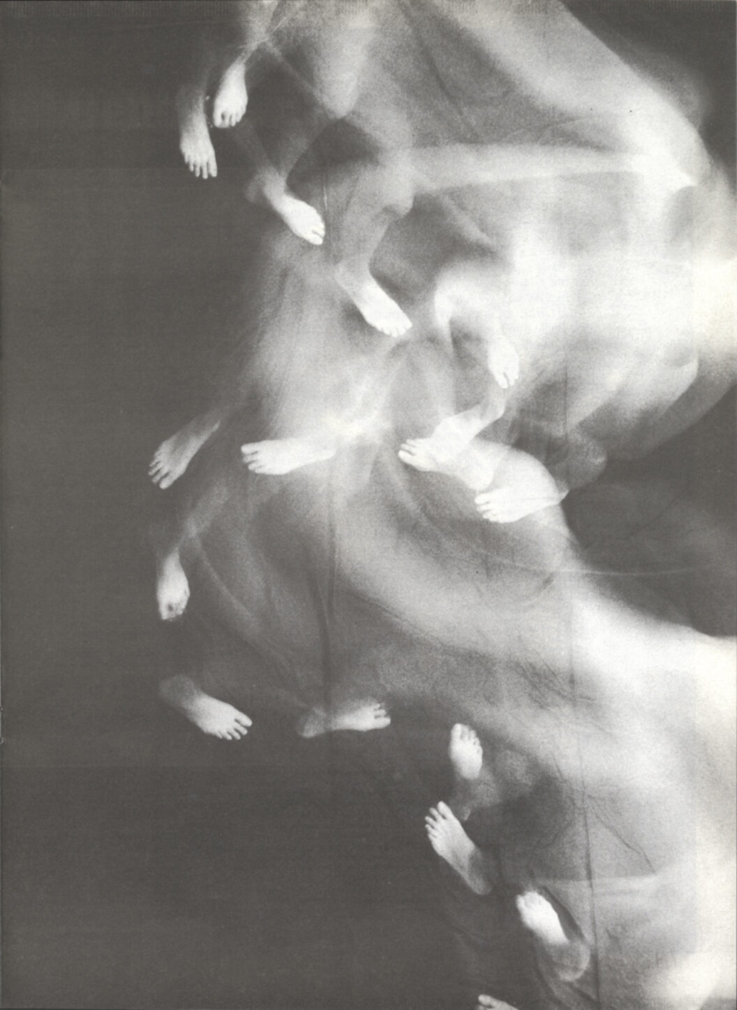 BOMB Magazine | David Seidner