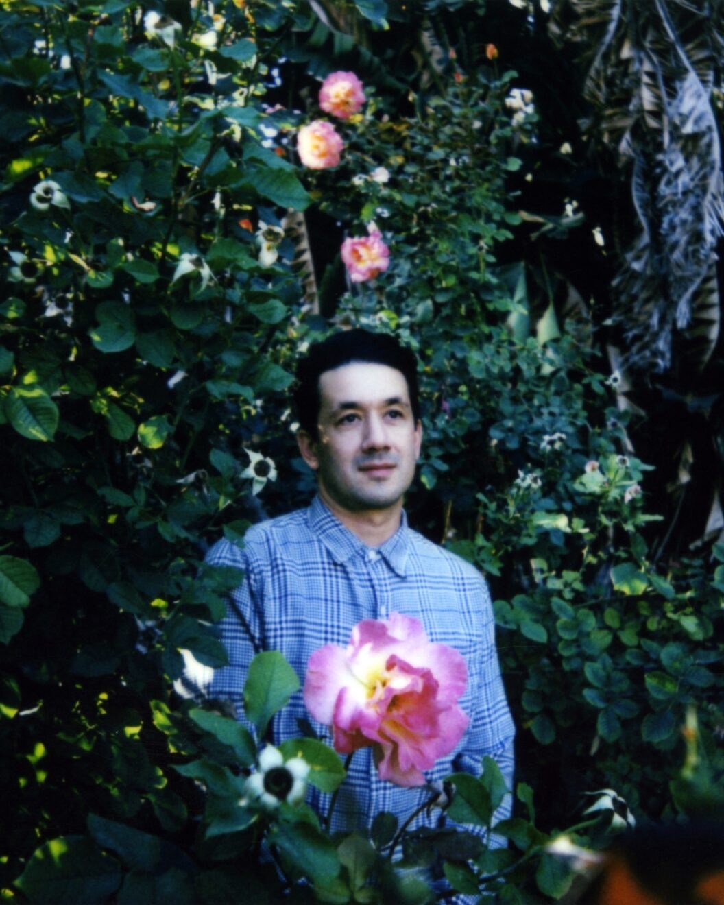 BOMB Magazine | Music