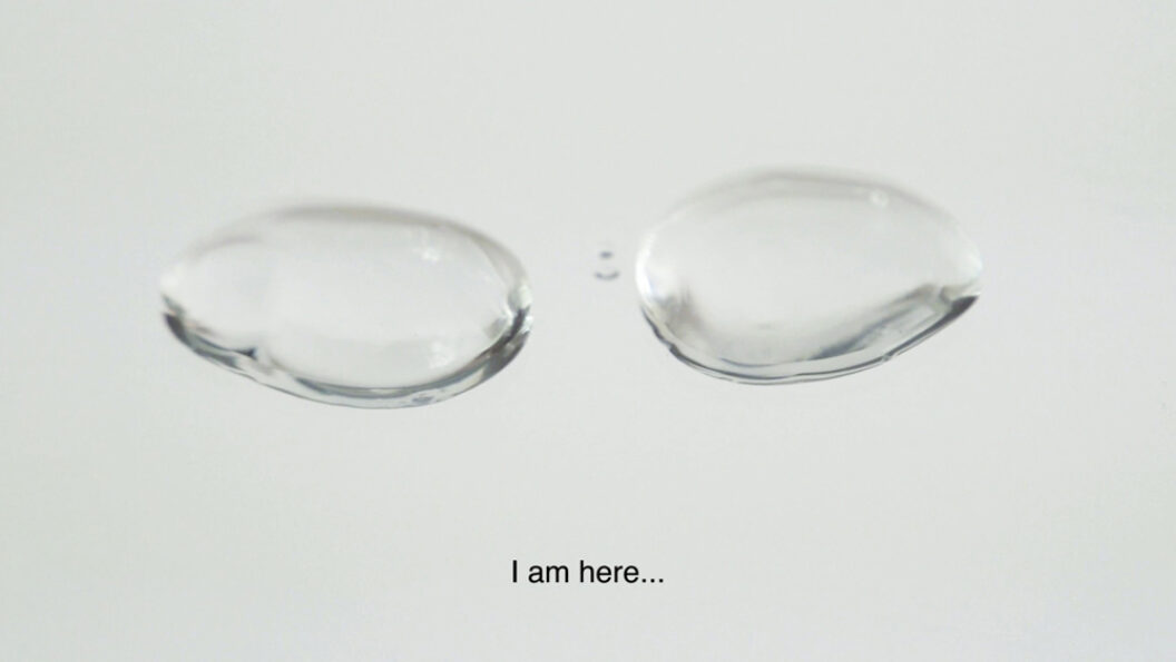 BOMB Magazine | Flesh and Ghosts: Tiffany Jaeyeon Shin Interviewed