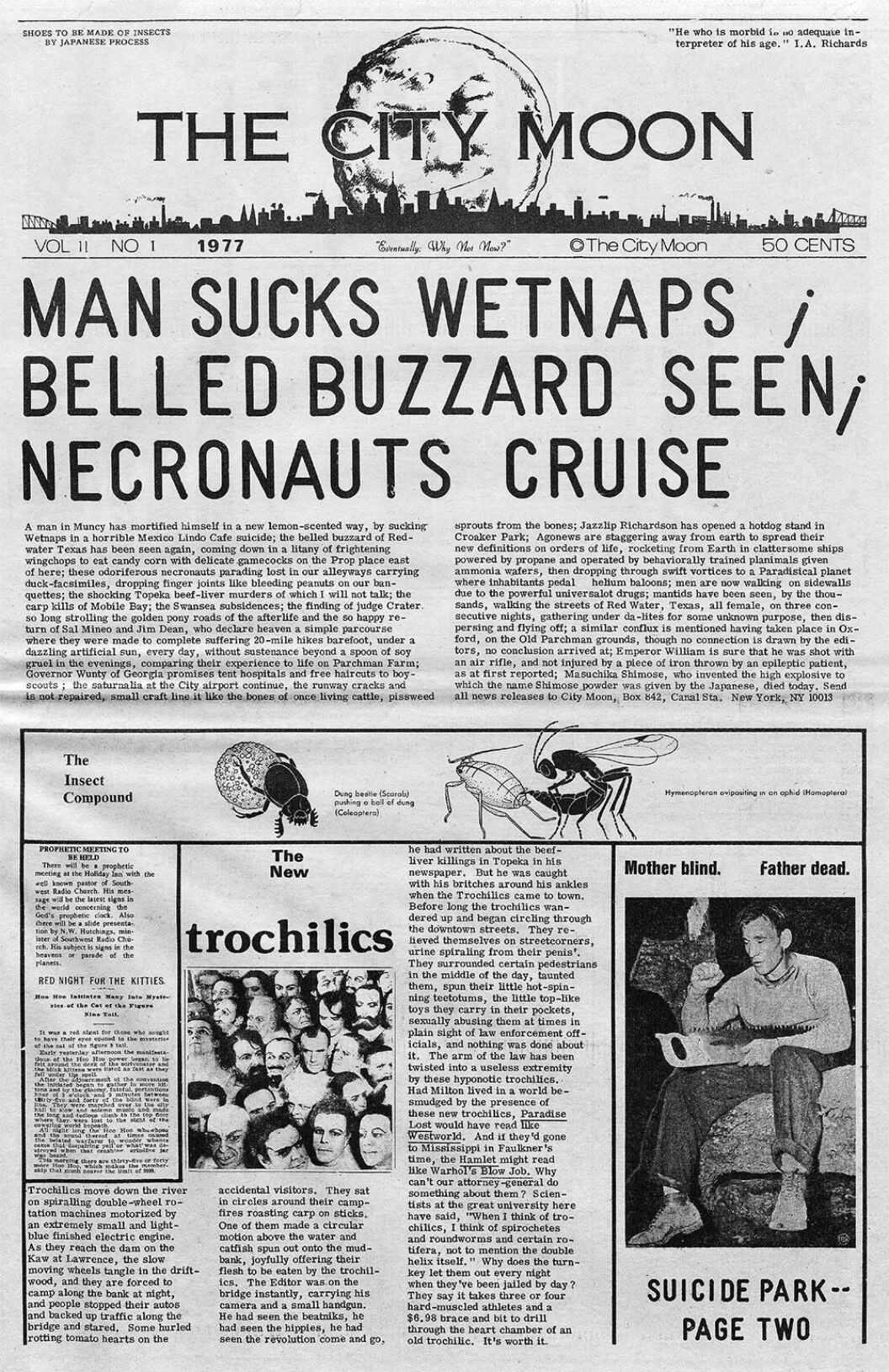 BOMB Magazine | David Ohle