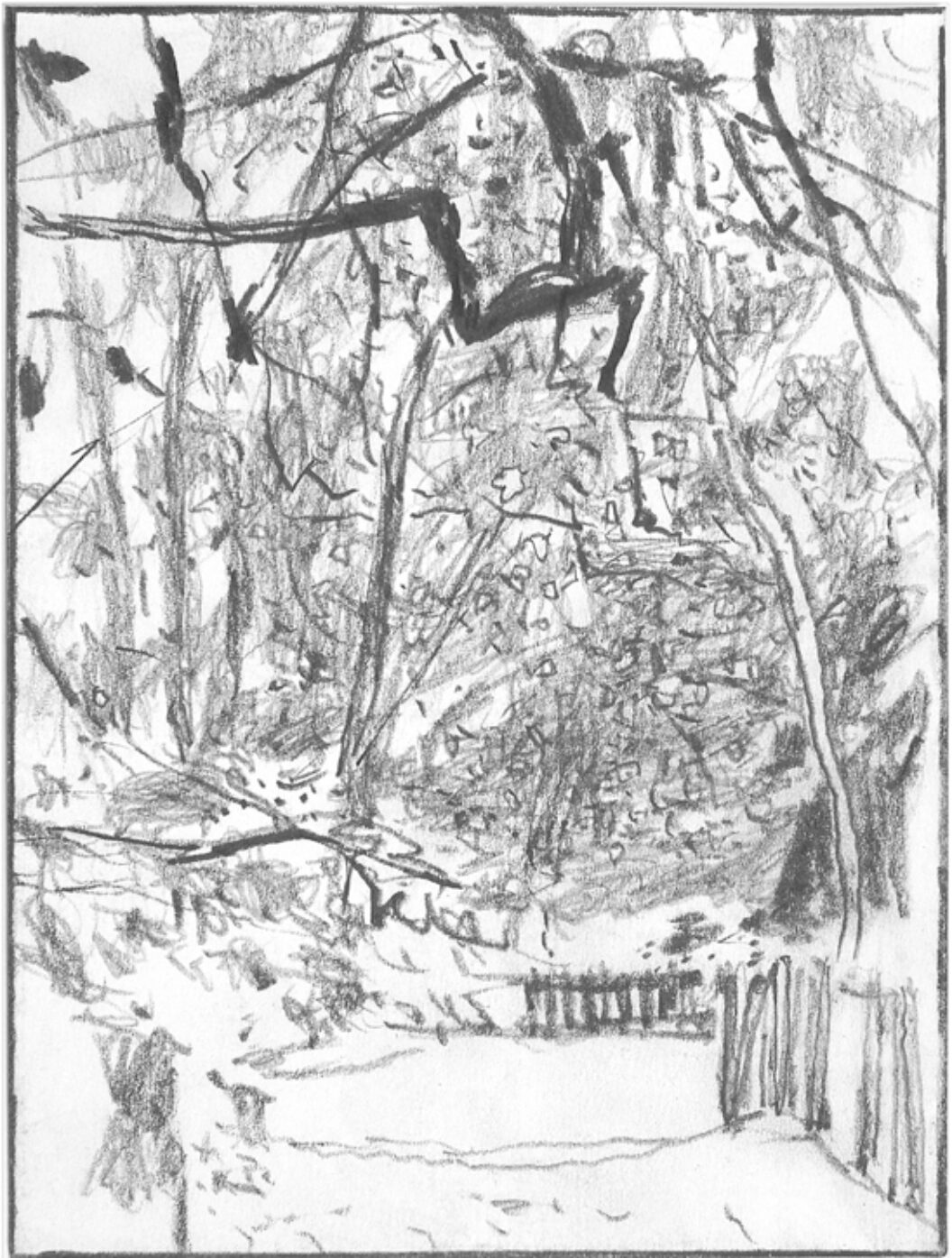 BOMB Magazine | Tom Fairs