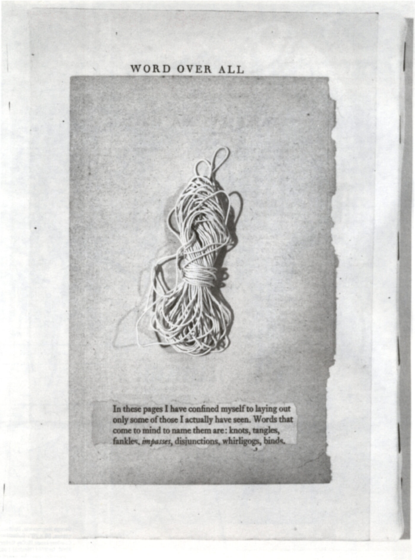 BOMB Magazine | Ham String