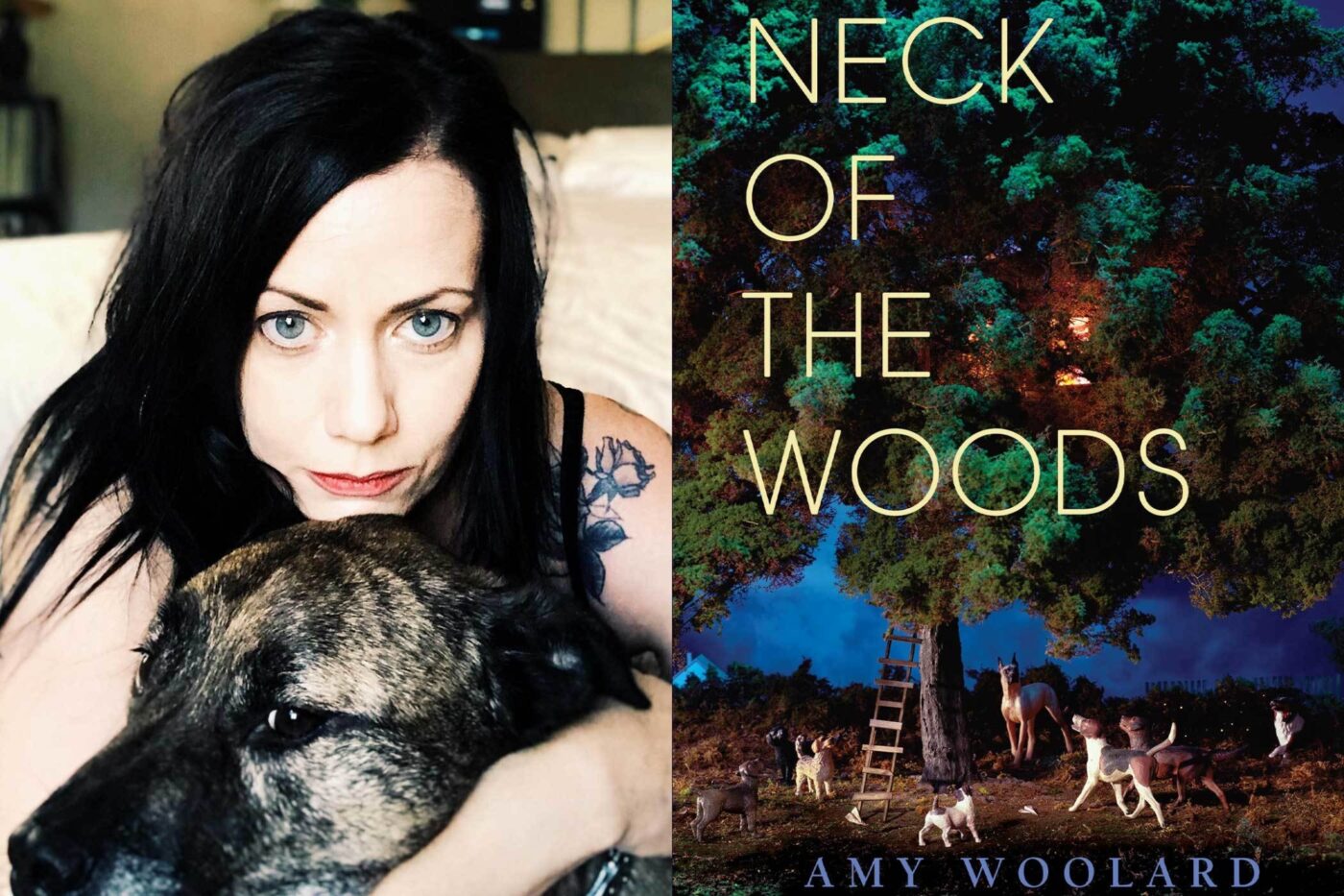 BOMB Magazine | Why We Should Read Poetry