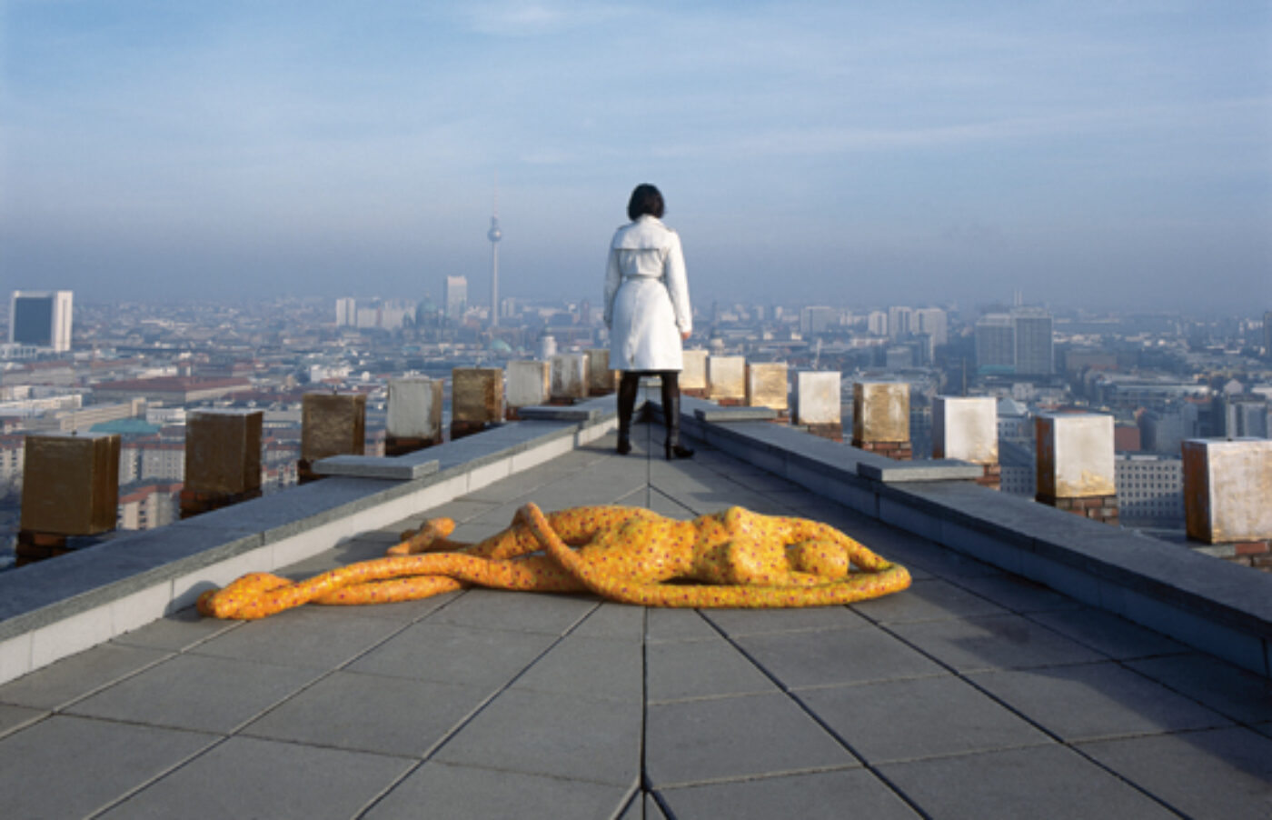 BOMB Magazine | Holly Zausner