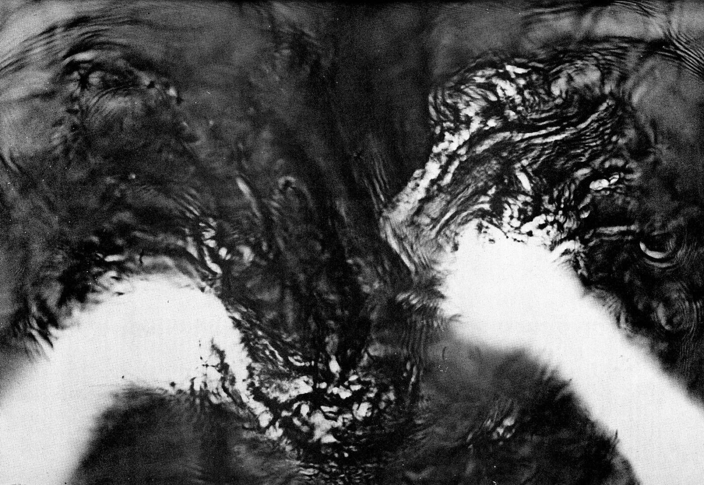 BOMB Magazine | Untitled Photogram