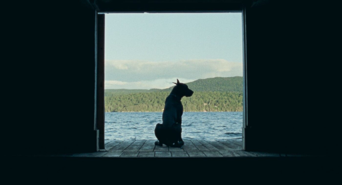 BOMB Magazine | Harley Chamandy by Addis Goldman