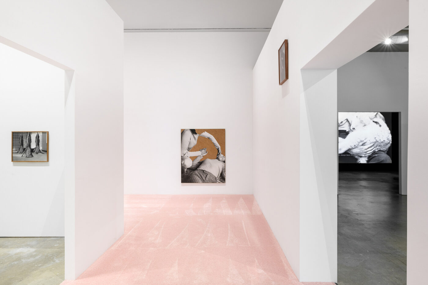 BOMB Magazine | Joanna Piotrowska by Jonah Goldman Kay