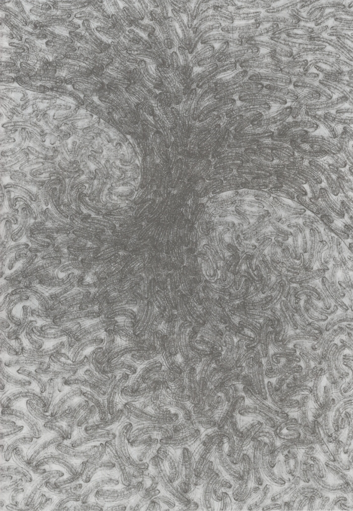 BOMB Magazine | John Morris