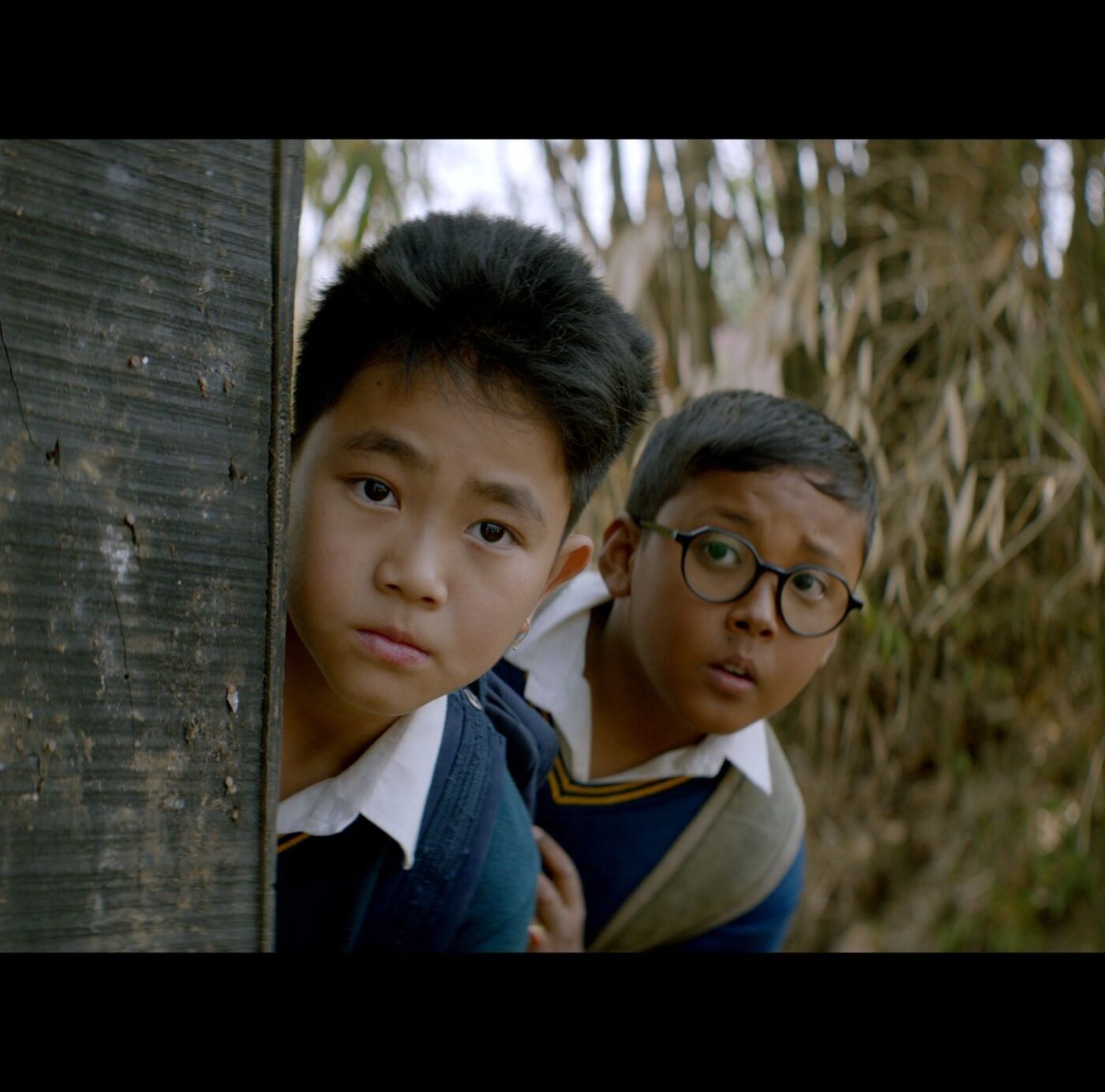 BOMB Magazine | Lakshmipriya Devi by Arun A.K.