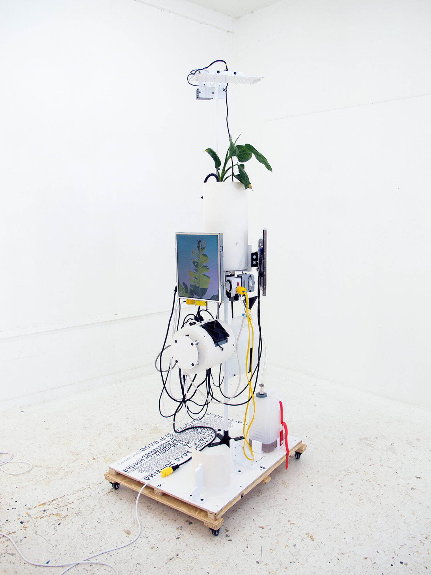 BOMB Magazine | Manuel Alejandro Rodríguez-Delgado by Hannah Sage Kay