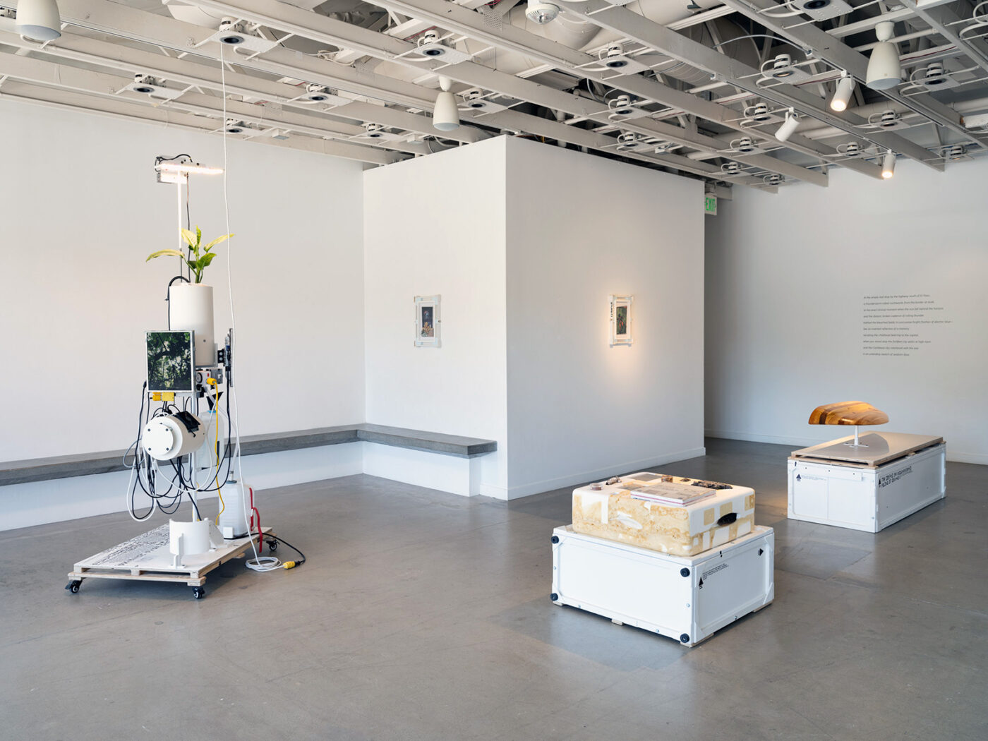 BOMB Magazine | Manuel Alejandro Rodríguez-Delgado by Hannah Sage Kay