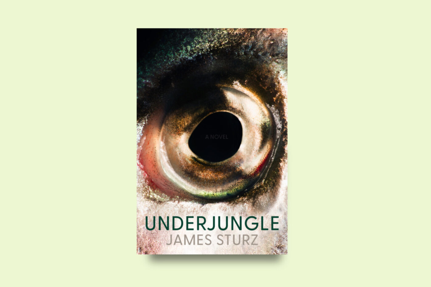 BOMB Magazine | James Sturz Interviewed