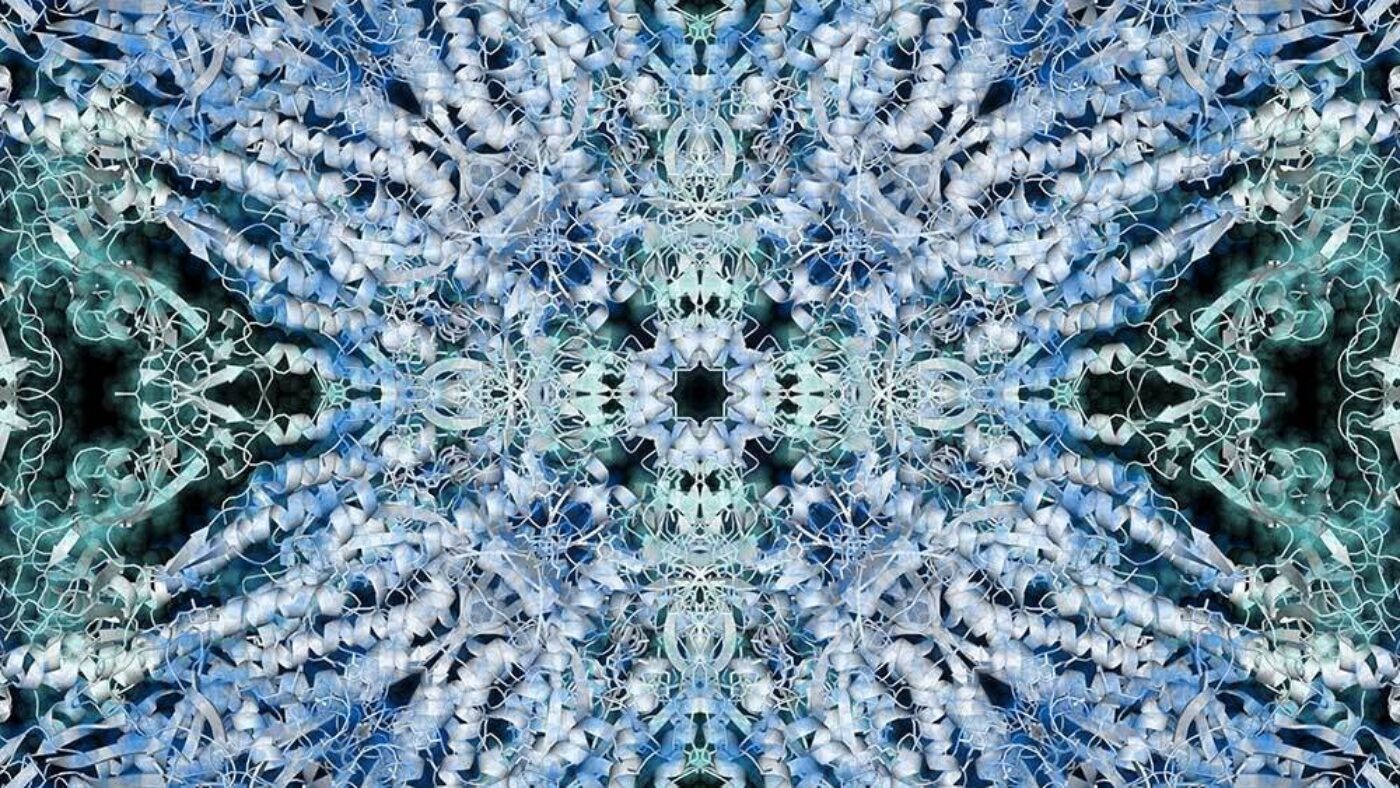 BOMB Magazine | Laura Splan by Anna Mikeala Ekstrand