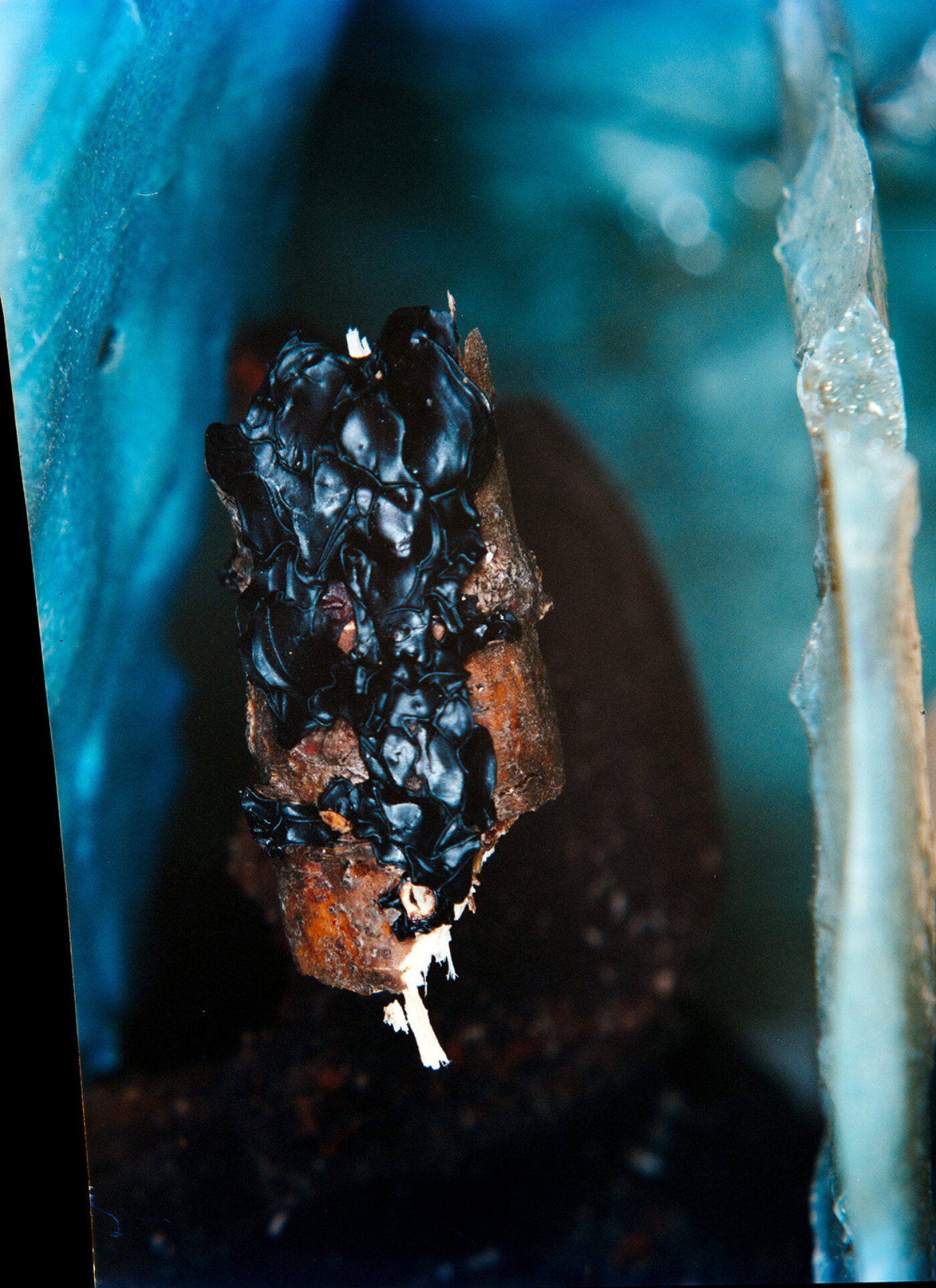 BOMB Magazine | Yair Oelbaum by Max Levin