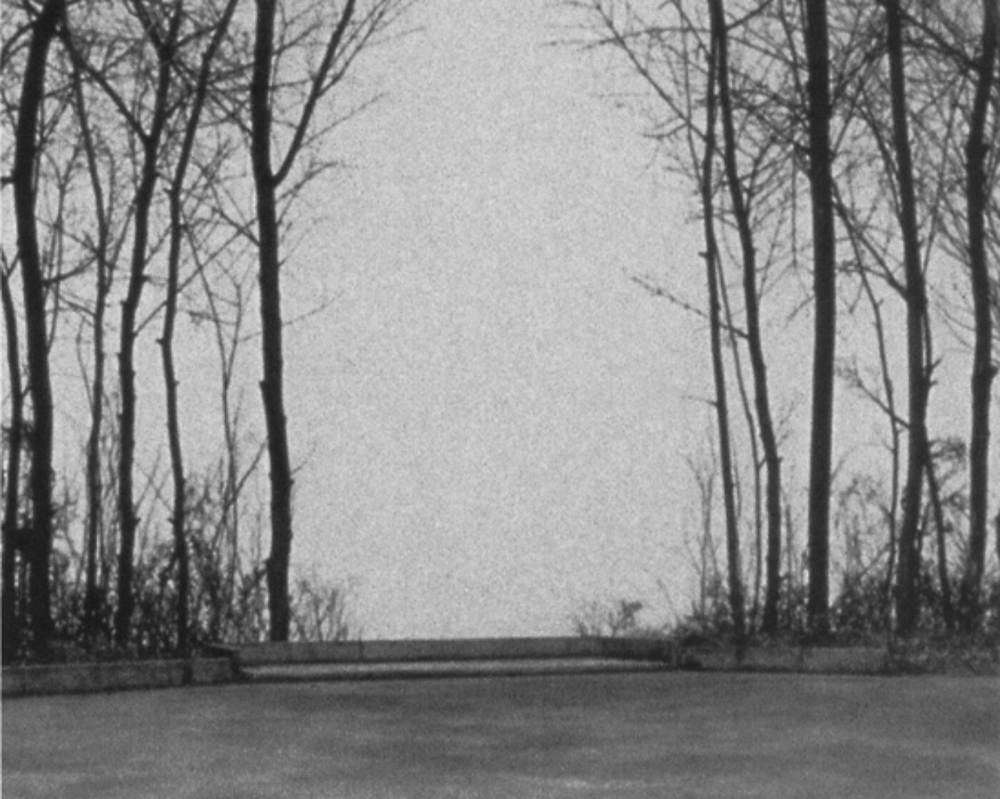 BOMB Magazine | Oliver Boberg