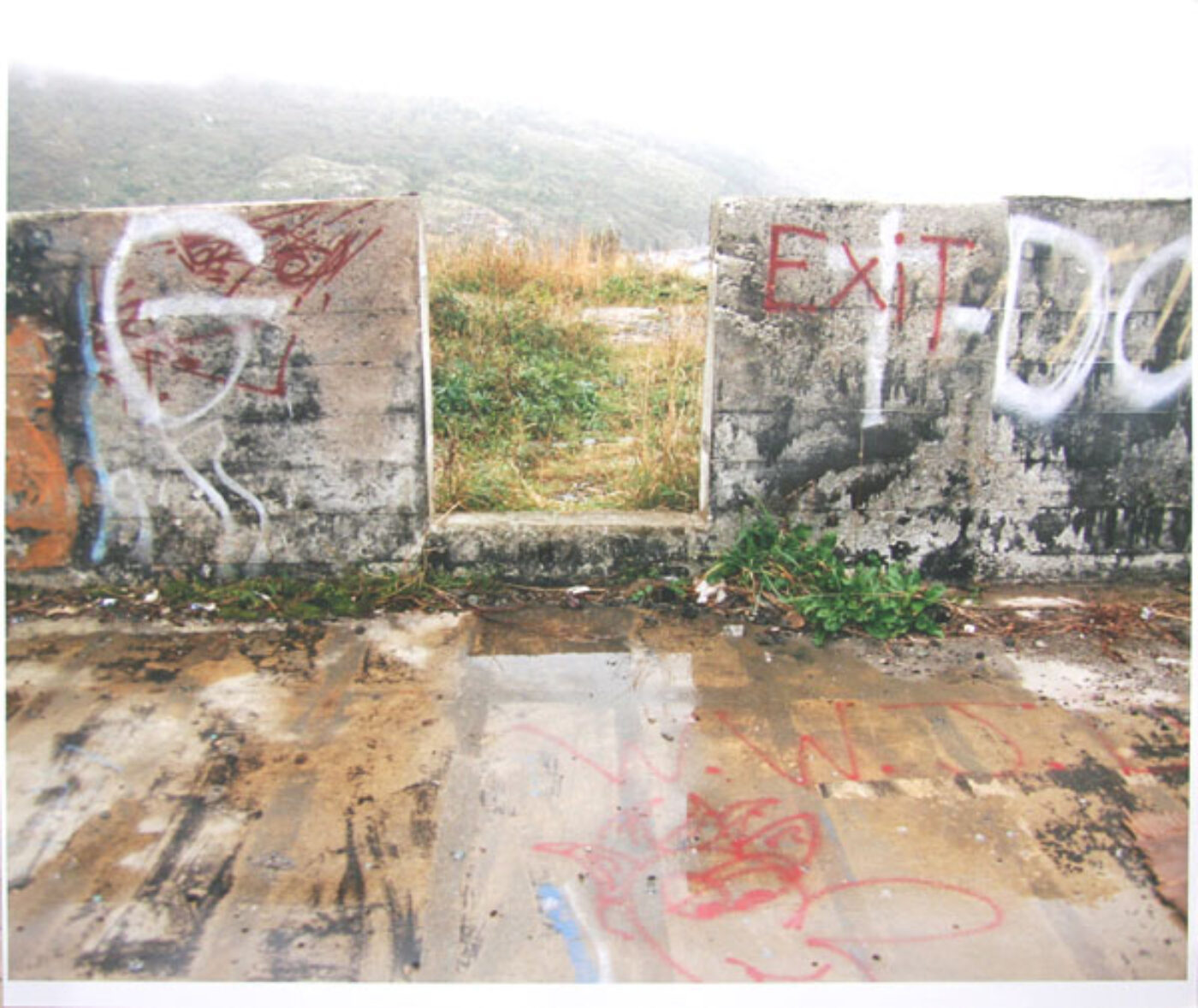 BOMB Magazine | Burning Billboards