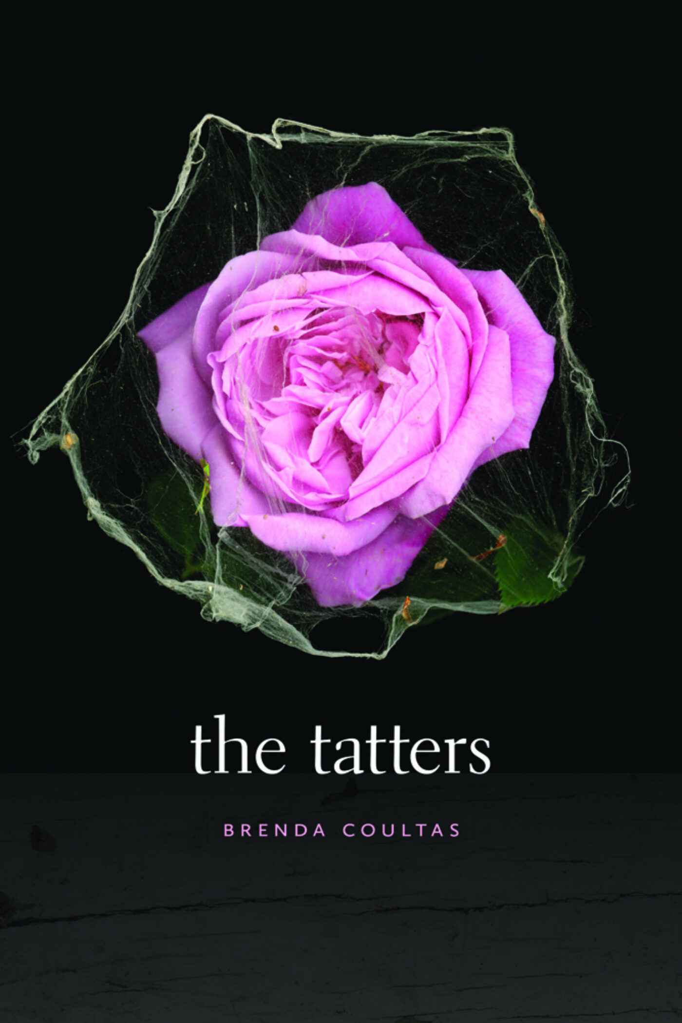 BOMB Magazine | Brenda Coultas's The Tatters