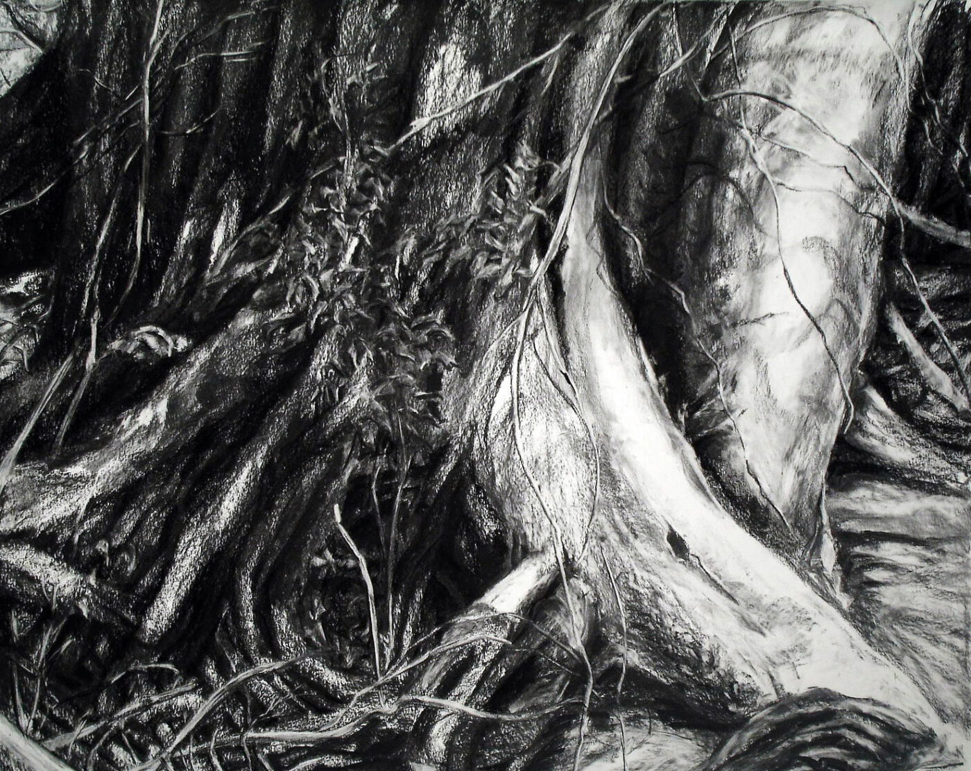 BOMB Magazine | An Oral History with Ron Bechet by Mora…