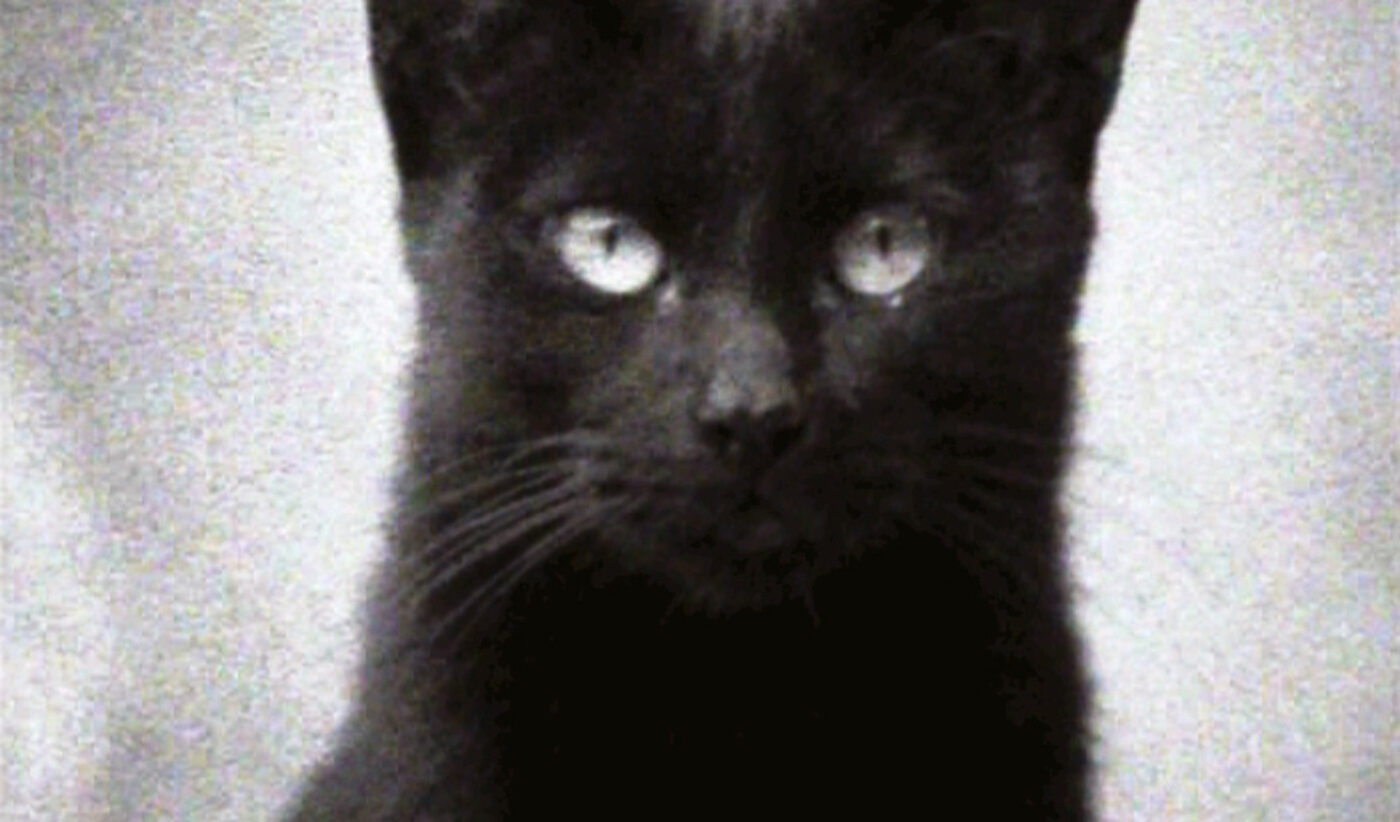 BOMB Magazine | Matías Piñeiro by Clinton Krute