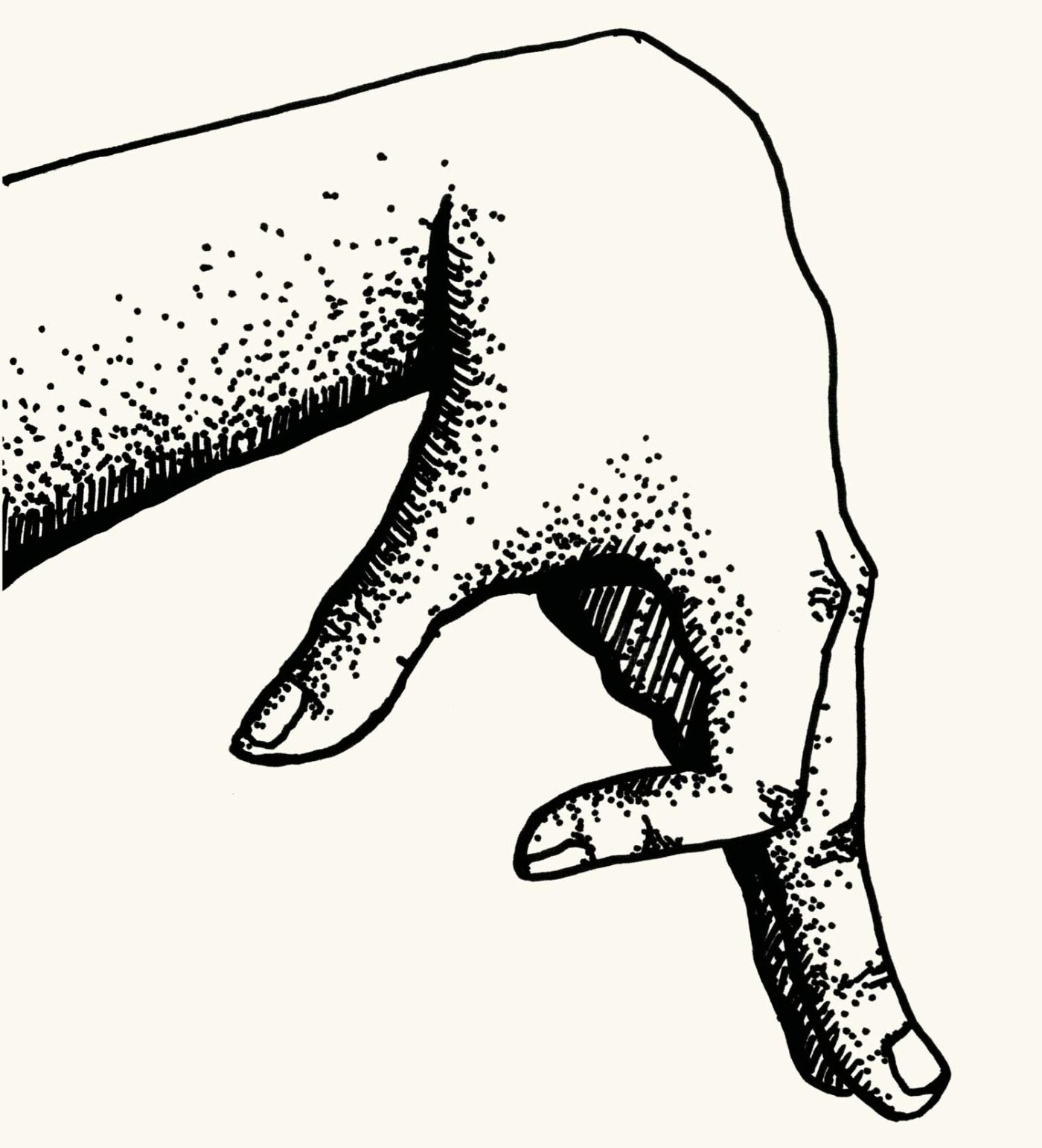 BOMB Magazine | Salvador Plascencia