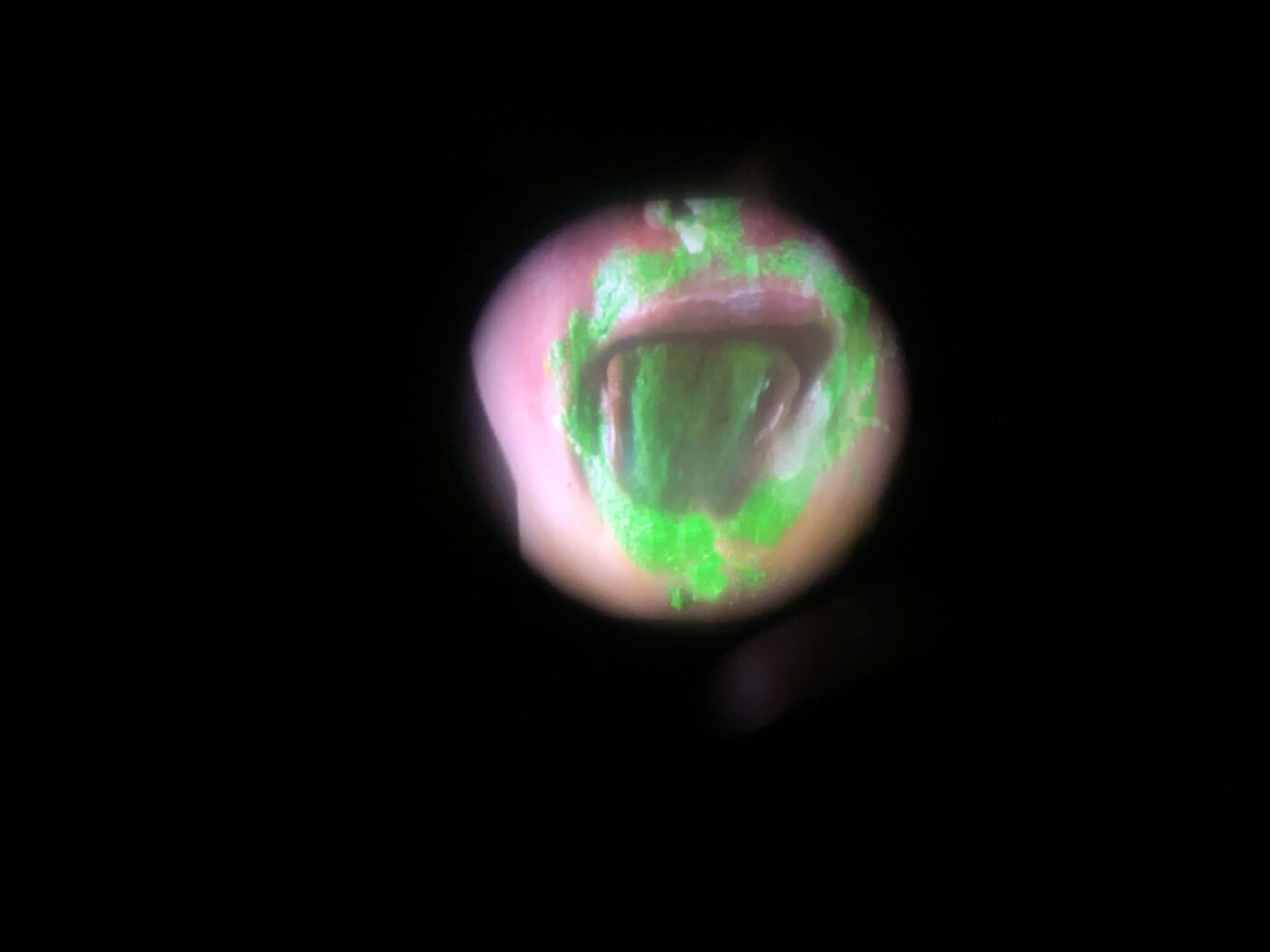 BOMB Magazine | Amy Ruhl’s Between Tin Men