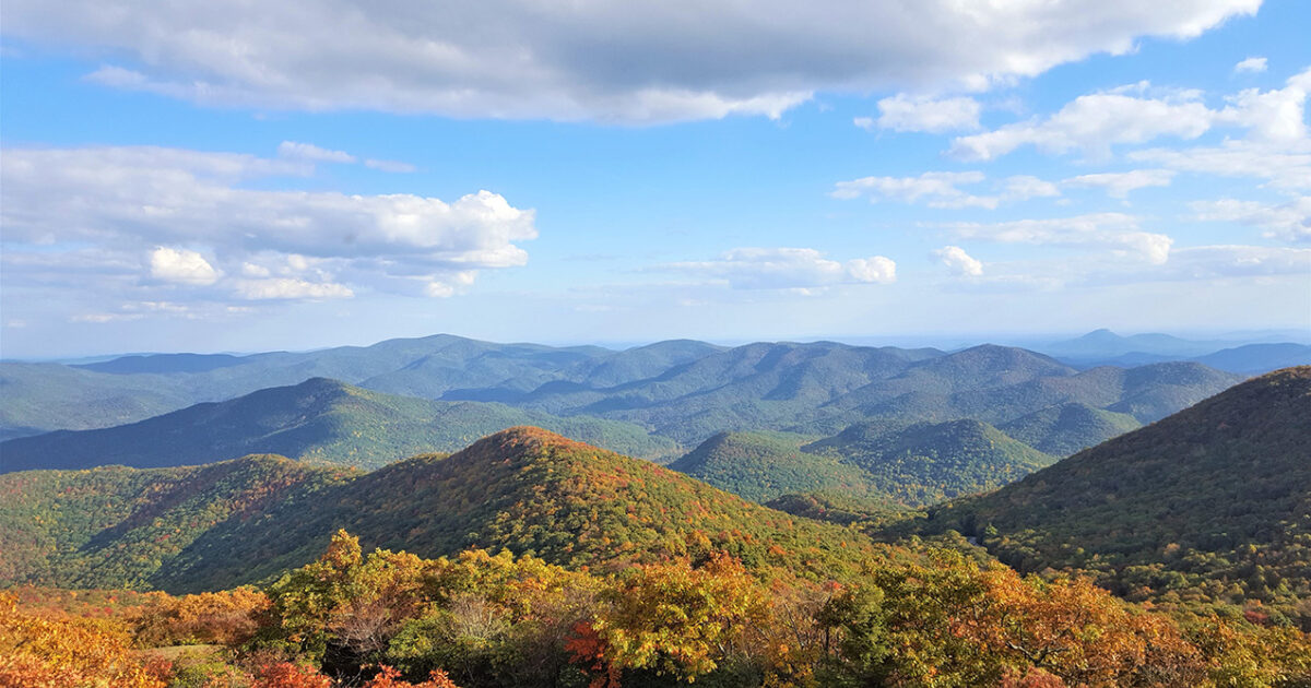 Budget Travel | Fannin County