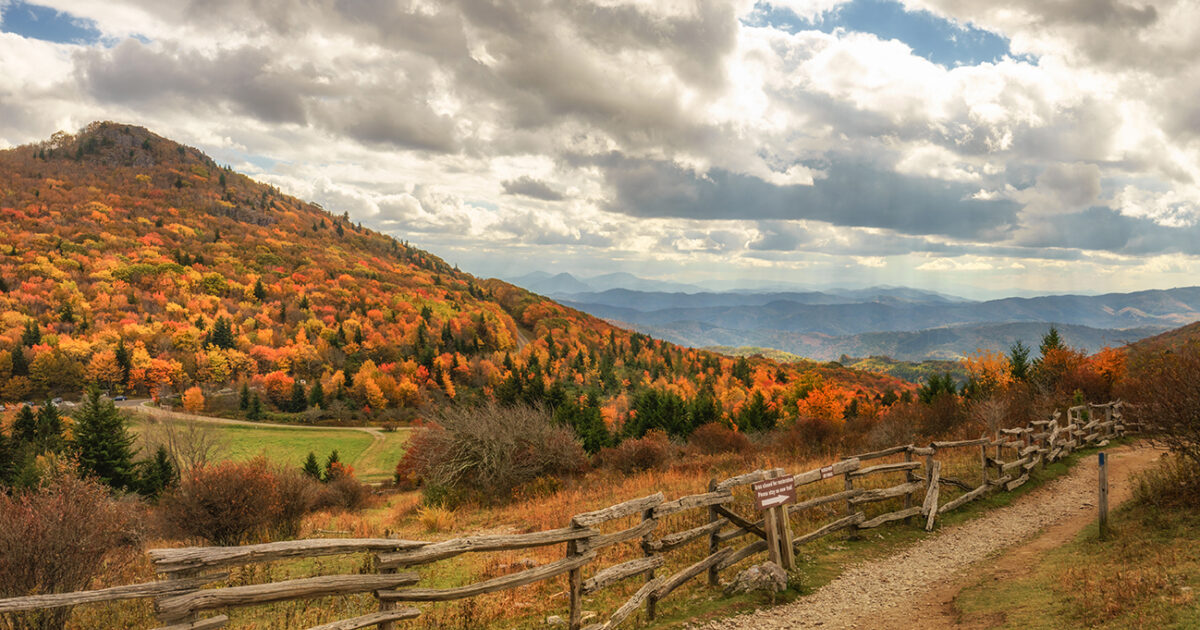 Budget Travel | Grayson