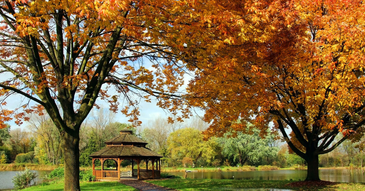 Budget Travel | Middleton