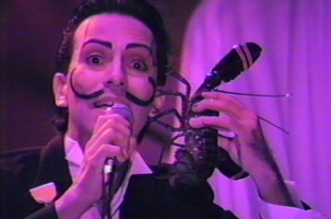 The Courtney Harmel Collection - Global ImageWorks