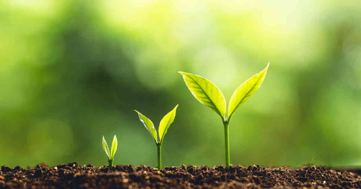 4 Businesses Share Their Biggest Growth Challenges