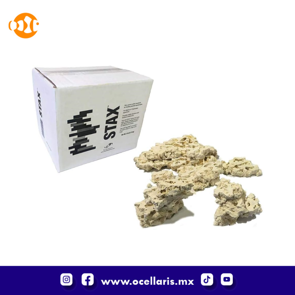 STAX Rock - Ocellaris