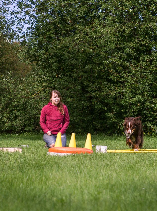 Movement Puzzles Academy