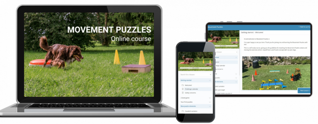 Movement Puzzles Coming Soon