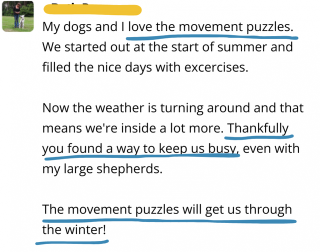 Movement Puzzles Academy
