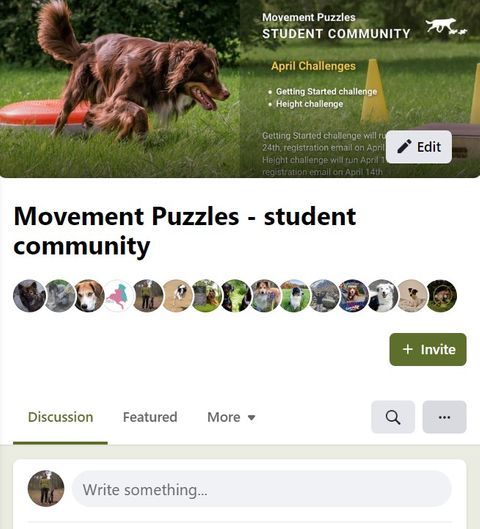 Movement Puzzles Academy