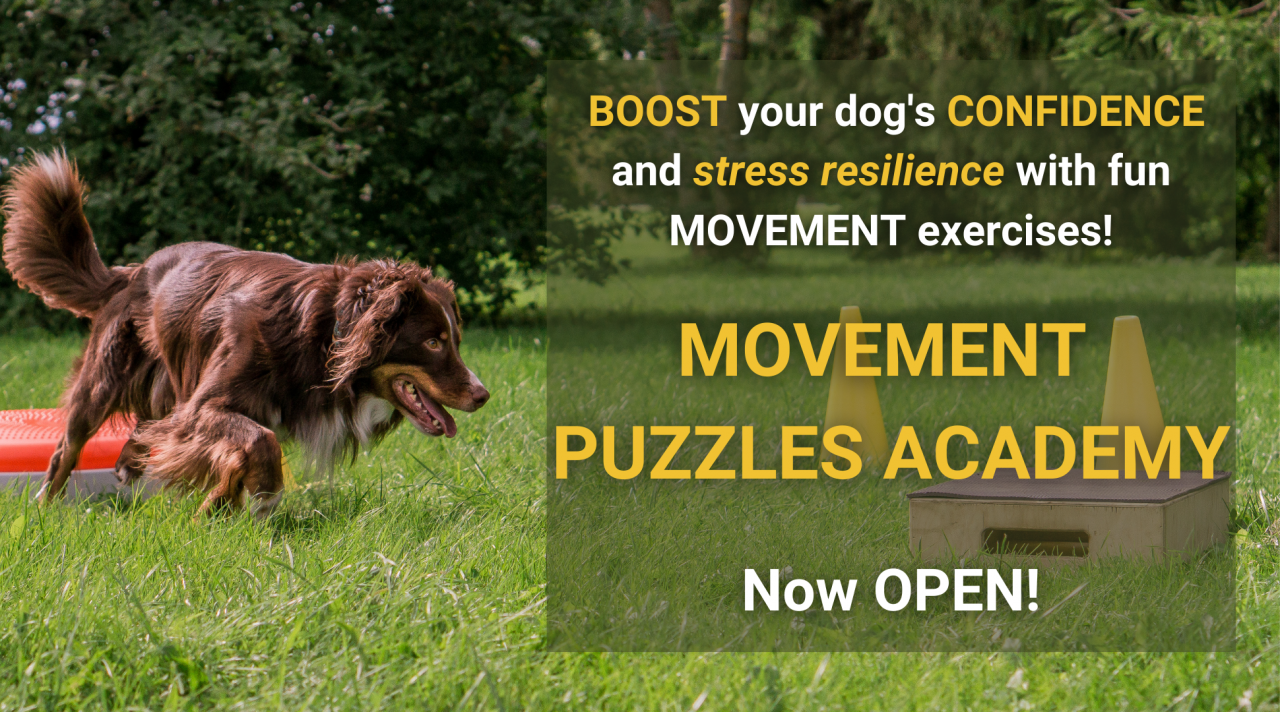 Movement Puzzles Academy
