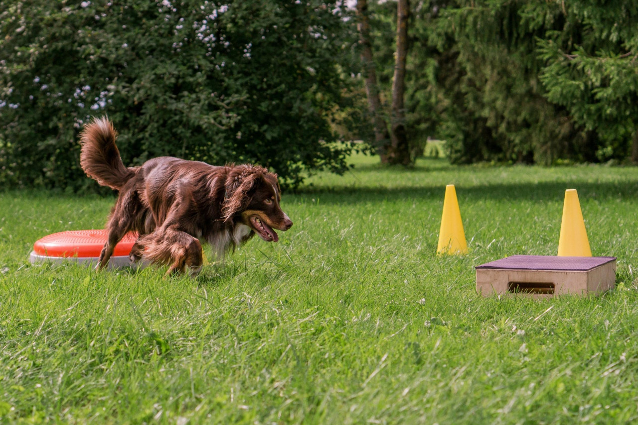 Movement Puzzles Coming Soon